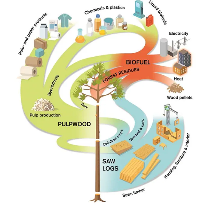 Sweden - www.scaleup-bioeconomy.eu