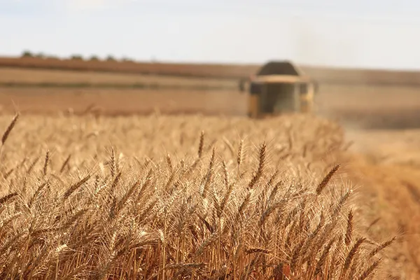 Home - www.scaleup-bioeconomy.eu