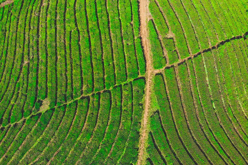 Home - www.scaleup-bioeconomy.eu