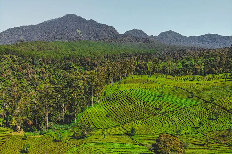 Home - www.scaleup-bioeconomy.eu